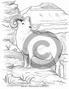 29 Big Game Hunting Coloring Book Pages | BHT